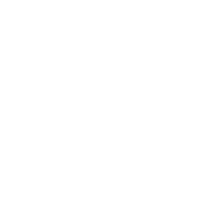 shein-logo | SKIMBOX UAE
